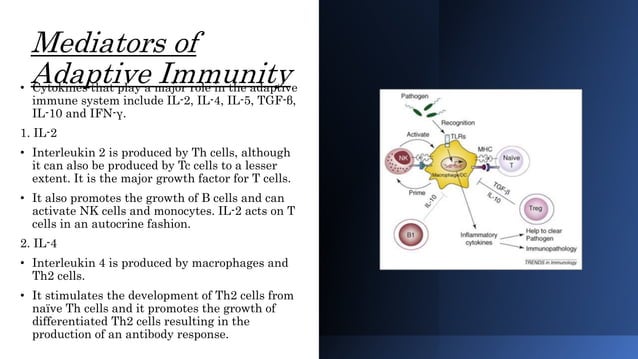 Cytokines and their role in immune regulation.pptx | Biological Sciences | Science