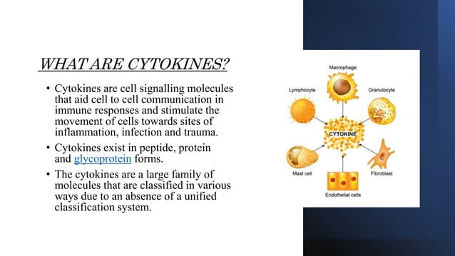 Cytokines and their role in immune regulation.pptx | Biological ...