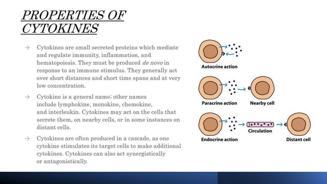 Cytokines and their role in immune regulation.pptx | Biological Sciences | Science