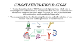 Cytokines and their role in immune regulation.pptx