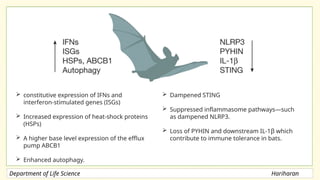 Bats: Masters of Viral Coexistence, Inflammation reduction mechanism | PPTX