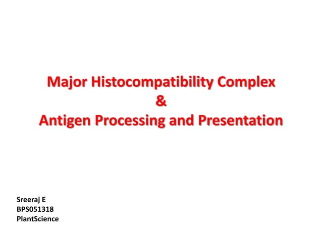 Major Histocompatibility complex & Antigen Presentation and Processing | PPTX | Chemistry | Science
