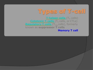 T Cell and its differentiation | PPTX