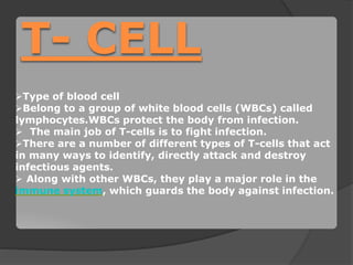 T Cell and its differentiation | PPTX