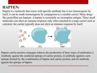 T AND B CELL EPITOPE MAPPING.pptx
