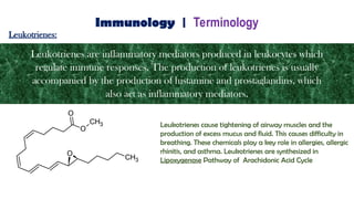 Understanding Immunology Terminology.ppt