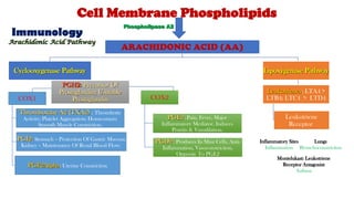 Understanding Immunology Terminology.ppt