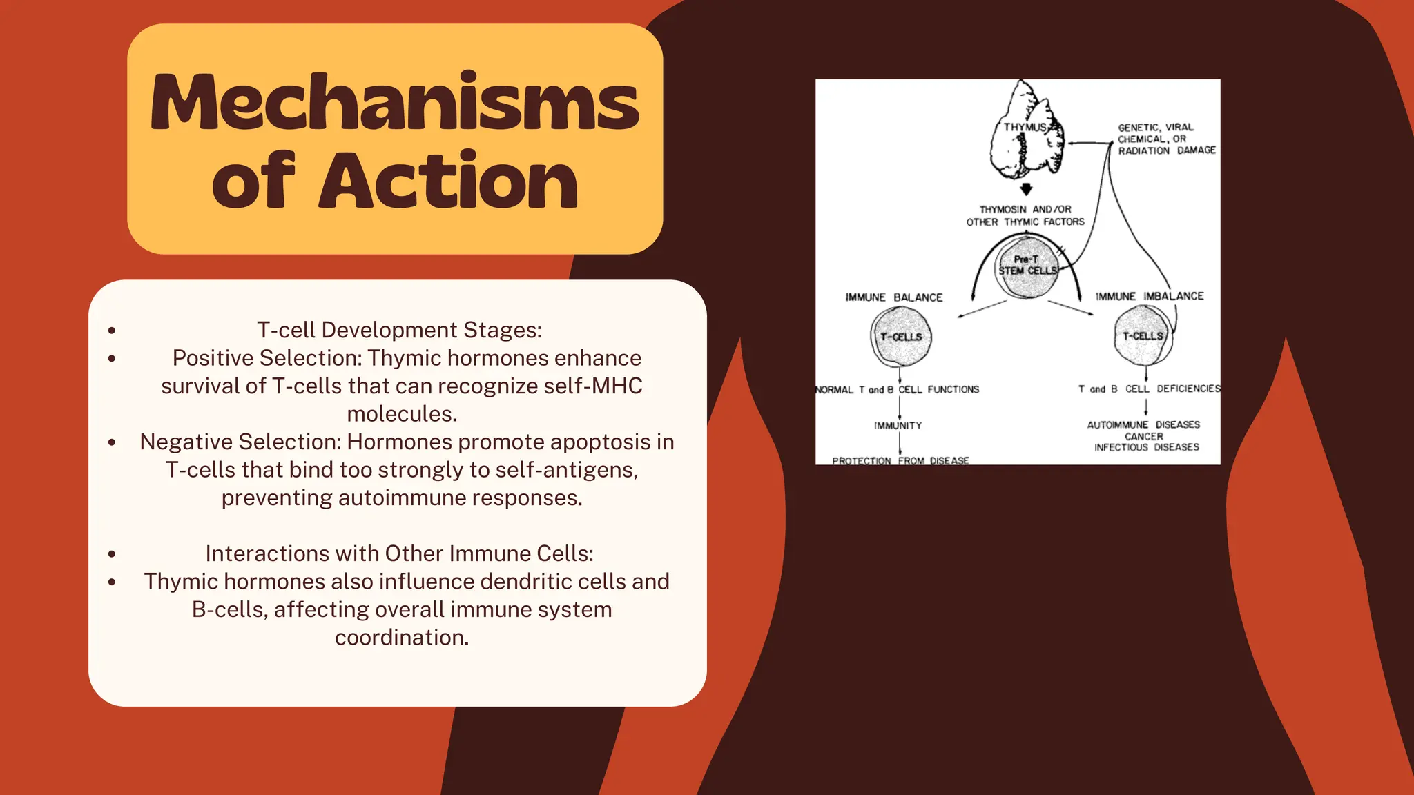Immunology Thymus Hormones presentation. | PDF
