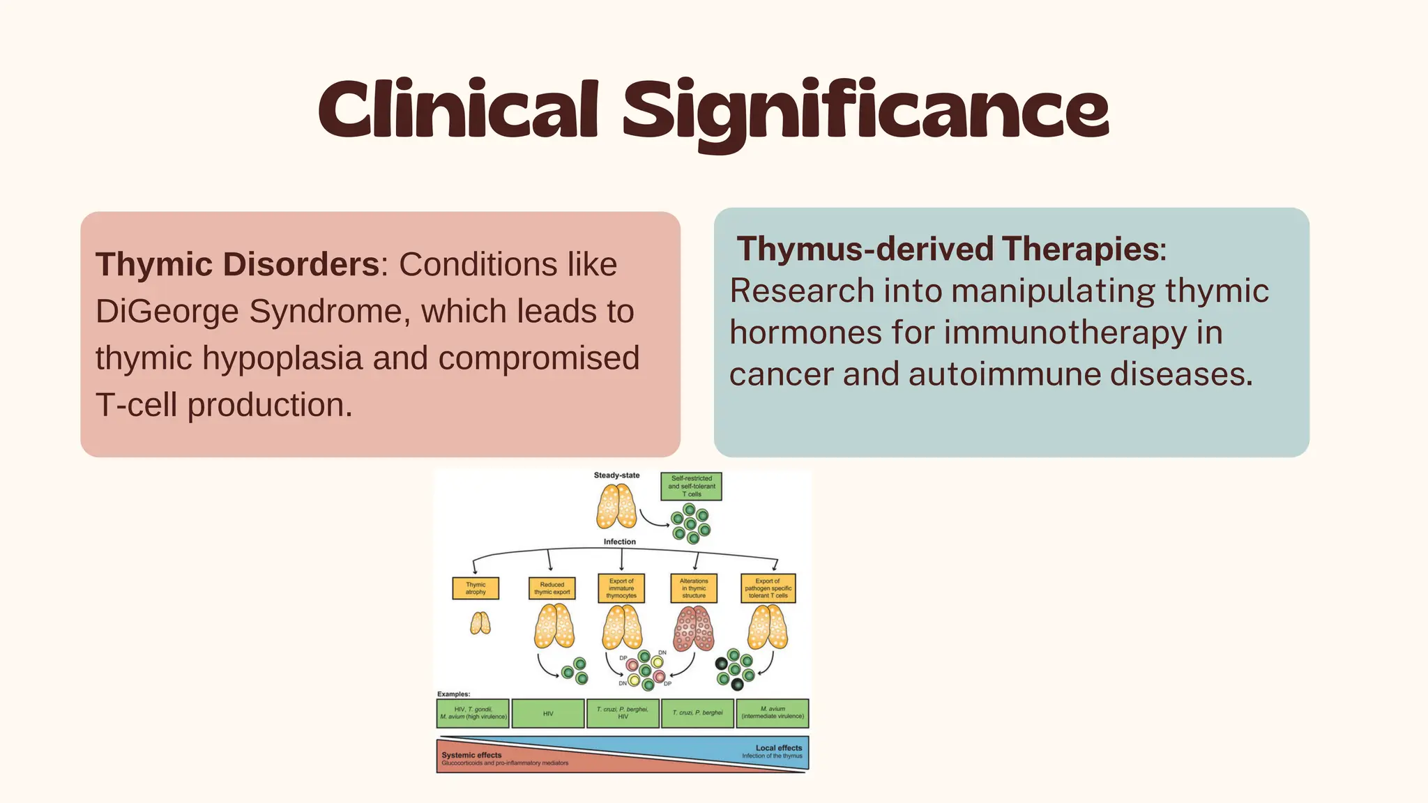 Immunology Thymus Hormones presentation. | PDF