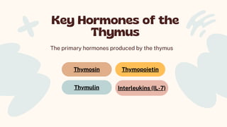 Immunology Thymus Hormones presentation. | PDF