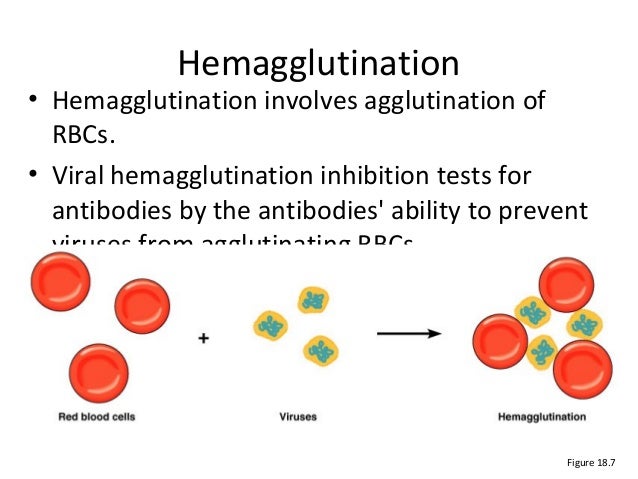 Immunology & vaccination