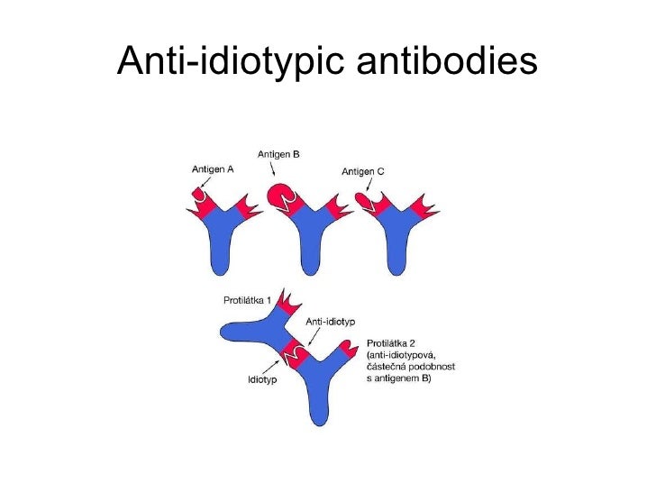 Immunology x vaccination