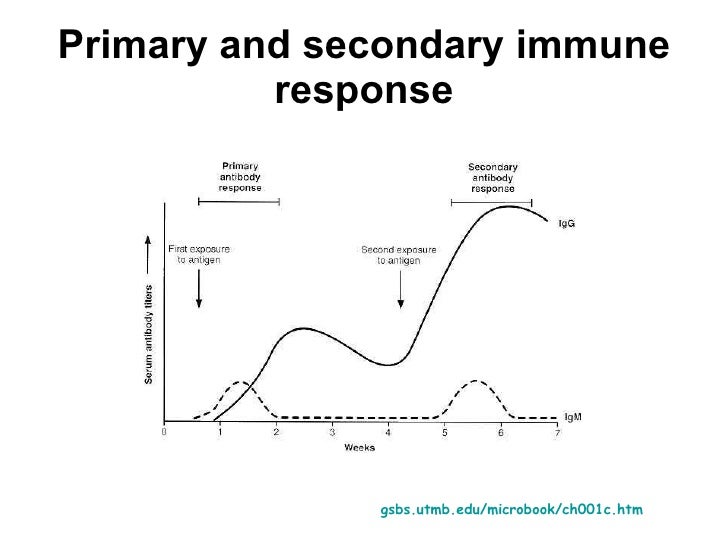 Immunology x vaccination