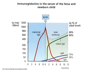Immunology xvi ontogenesis_pregnancy | PPT