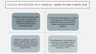 immunometabolism in cardiovascular diseases .pdf