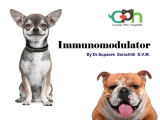 Immunomodulator | PDF | Infectious Diseases | Diseases and Conditions