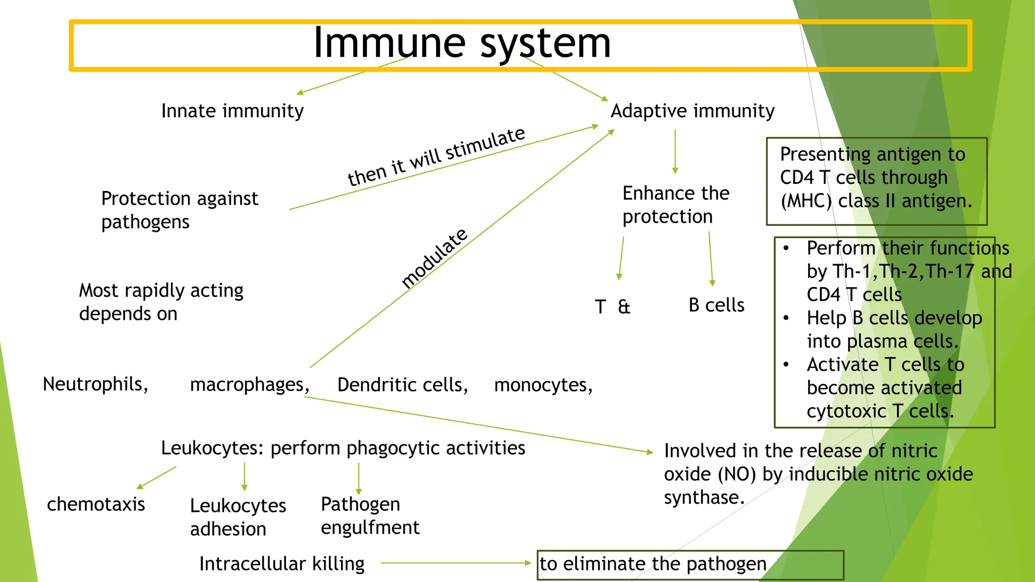 IMMUNOMODULATOR (Aarti pal).pptx Immune system, Types of immunity | PPTX