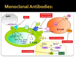 Immunomodulators.ppt