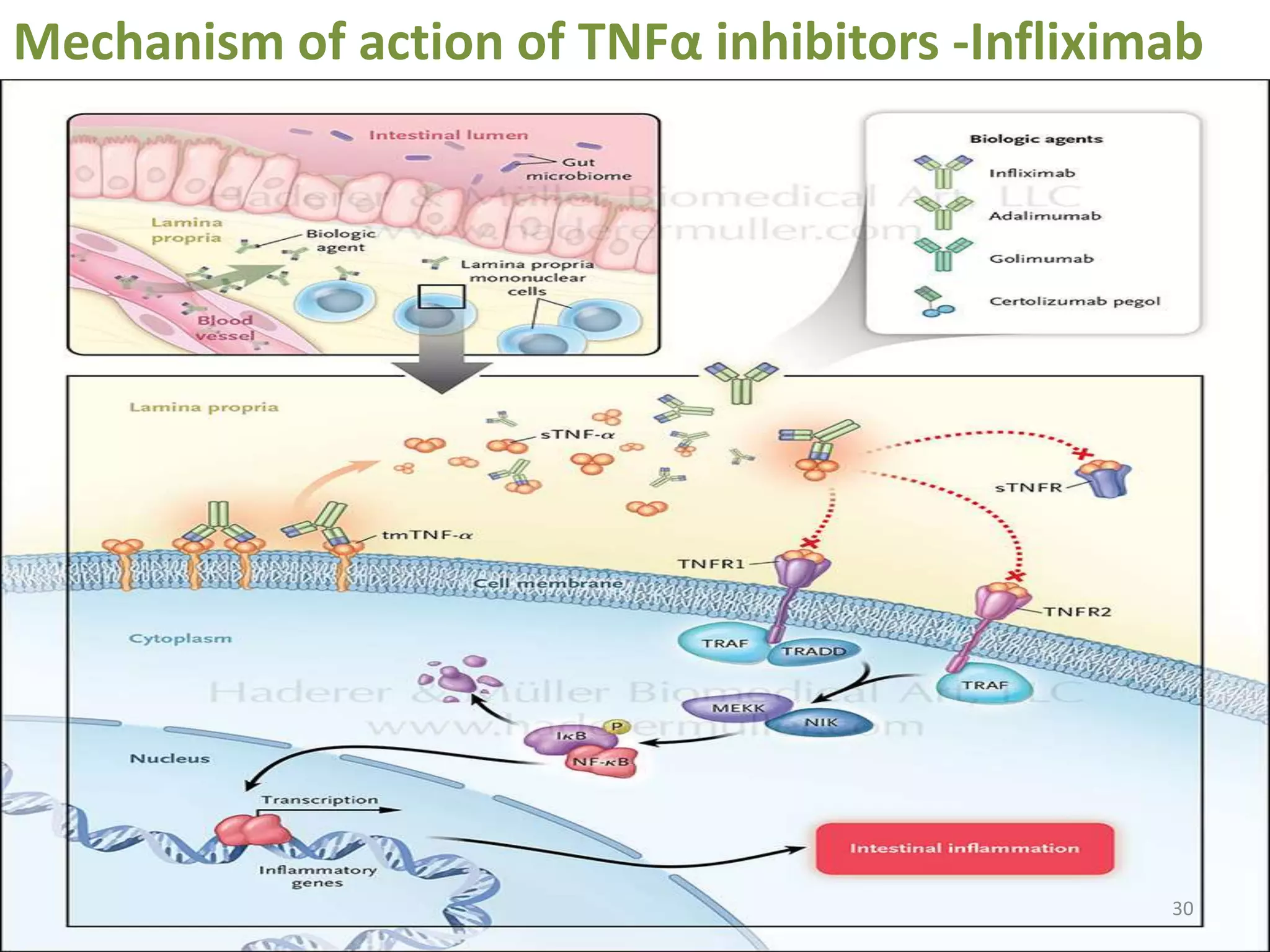 Immunomodulators | PPTX