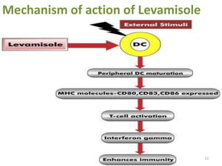 Immunomodulators | PPTX | Chemistry | Science