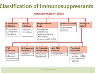 Immunomodulators | PPTX | Chemistry | Science