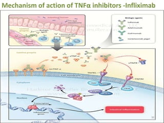 Immunomodulators | PPTX | Chemistry | Science