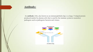 Immunomodulatory activity | PPTX
