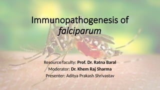 Immunopathogenesis of falciparum new.pptx