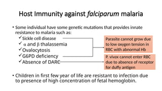 Immunopathogenesis of falciparum new.pptx