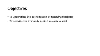 Immunopathogenesis of falciparum new.pptx