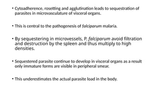Immunopathogenesis of falciparum new.pptx