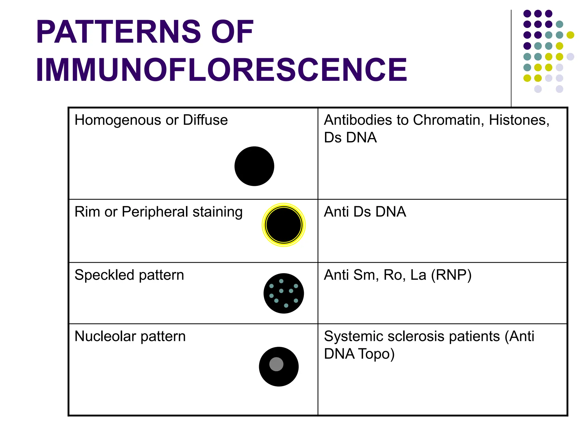 -immunopathology-2.ppt