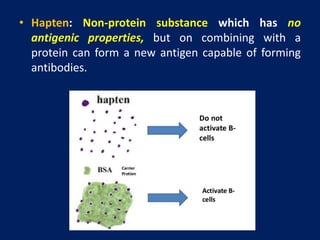 Immunopathology | PPTX