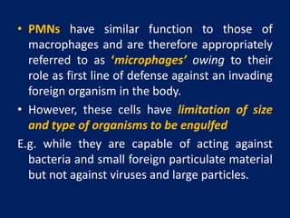 Immunopathology | PPTX