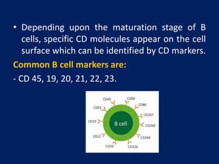 Immunopathology | PPTX