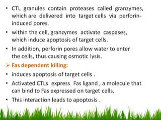 Immunopathology | PPTX