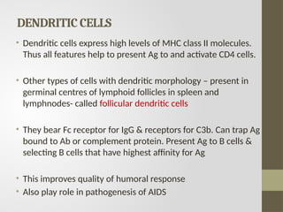 Comprehensive Overview of Immunopathology and Immune System Components ...