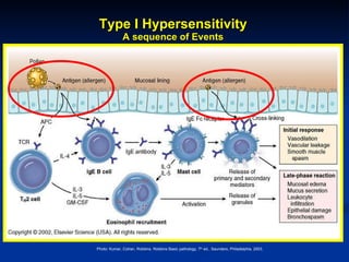 Immunopathology lecture 2+3 ,final | PPT