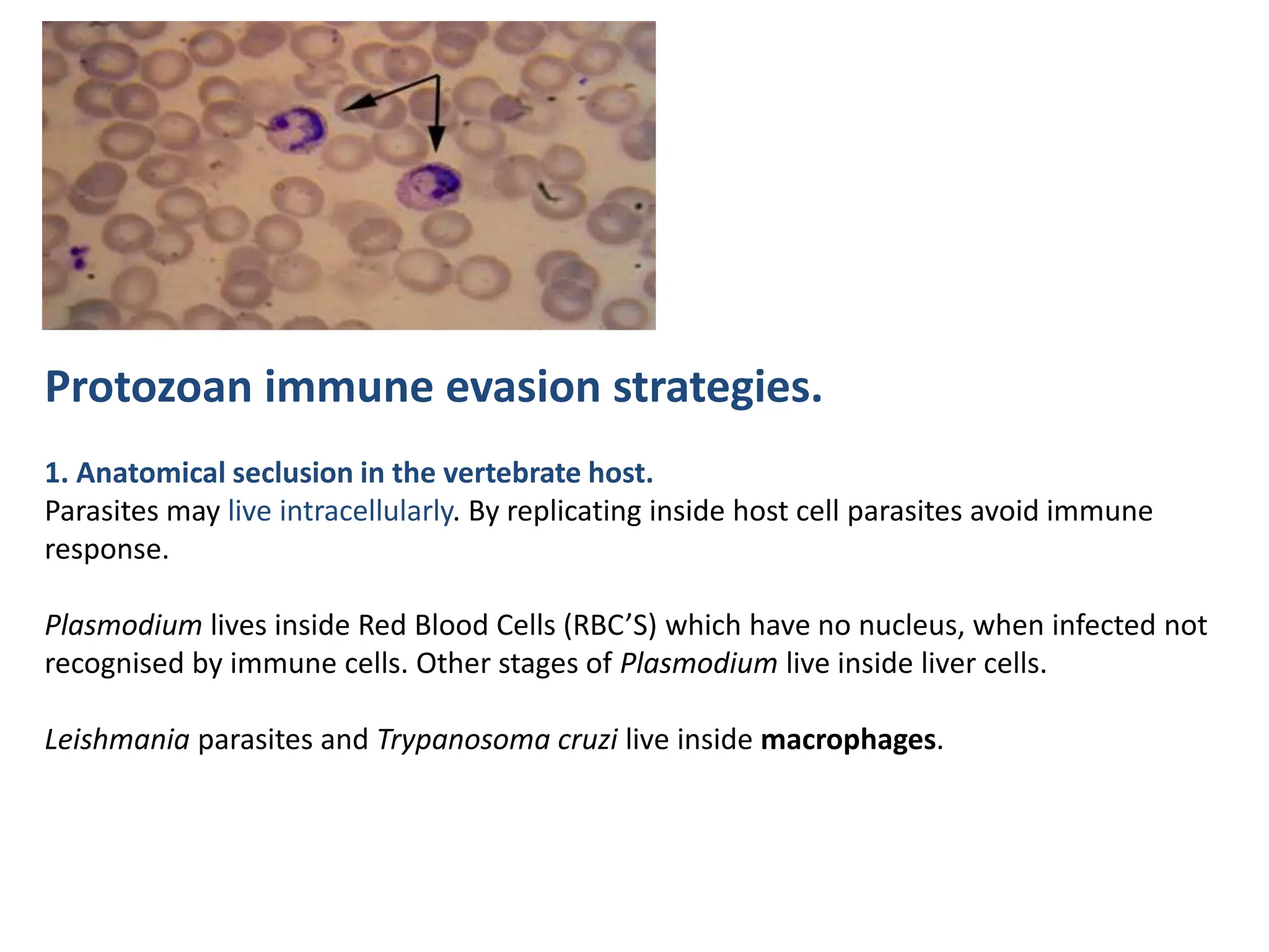 immunopathology of parasitc infections for mph 2016 set.ppt