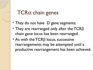 immunopathology T Cell Development in Thymus.pptx
