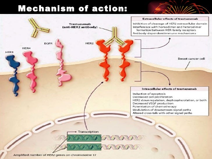 Immunopharmacology