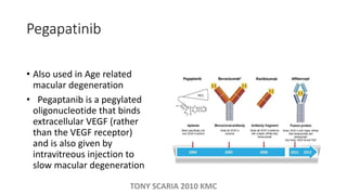 Immunopharmacology (MONOCLONAL ANTIBODIES) REVISION NOTES | PDF