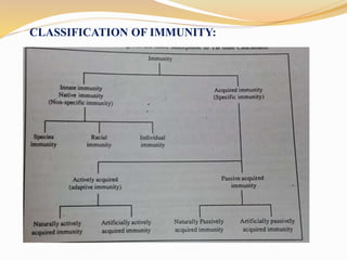 Immunopharmacology | PPTX
