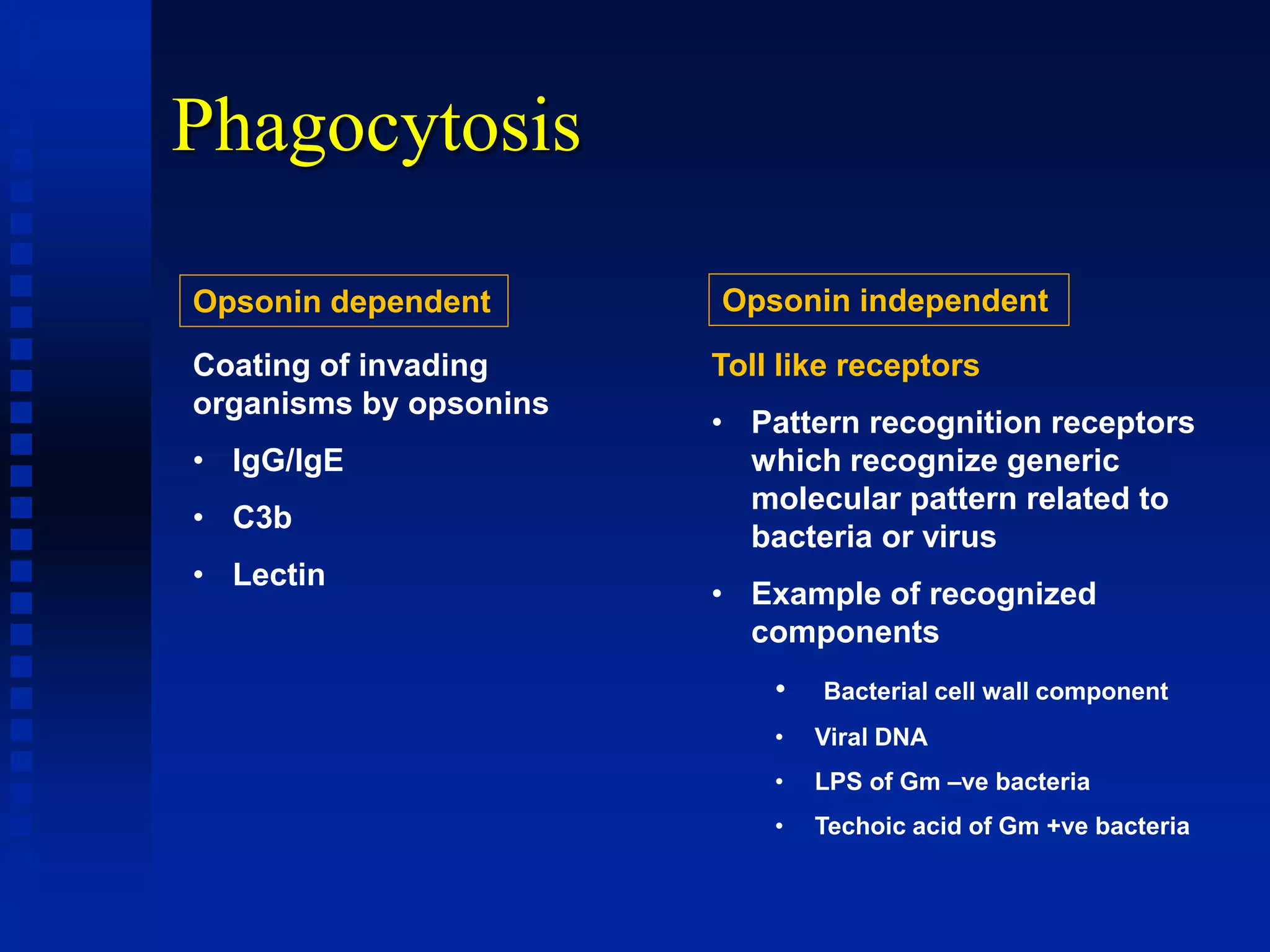 Immunopharmacology | PPT
