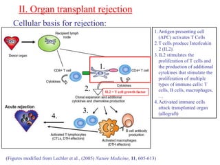 Immunopharmacology 2003 | PPT
