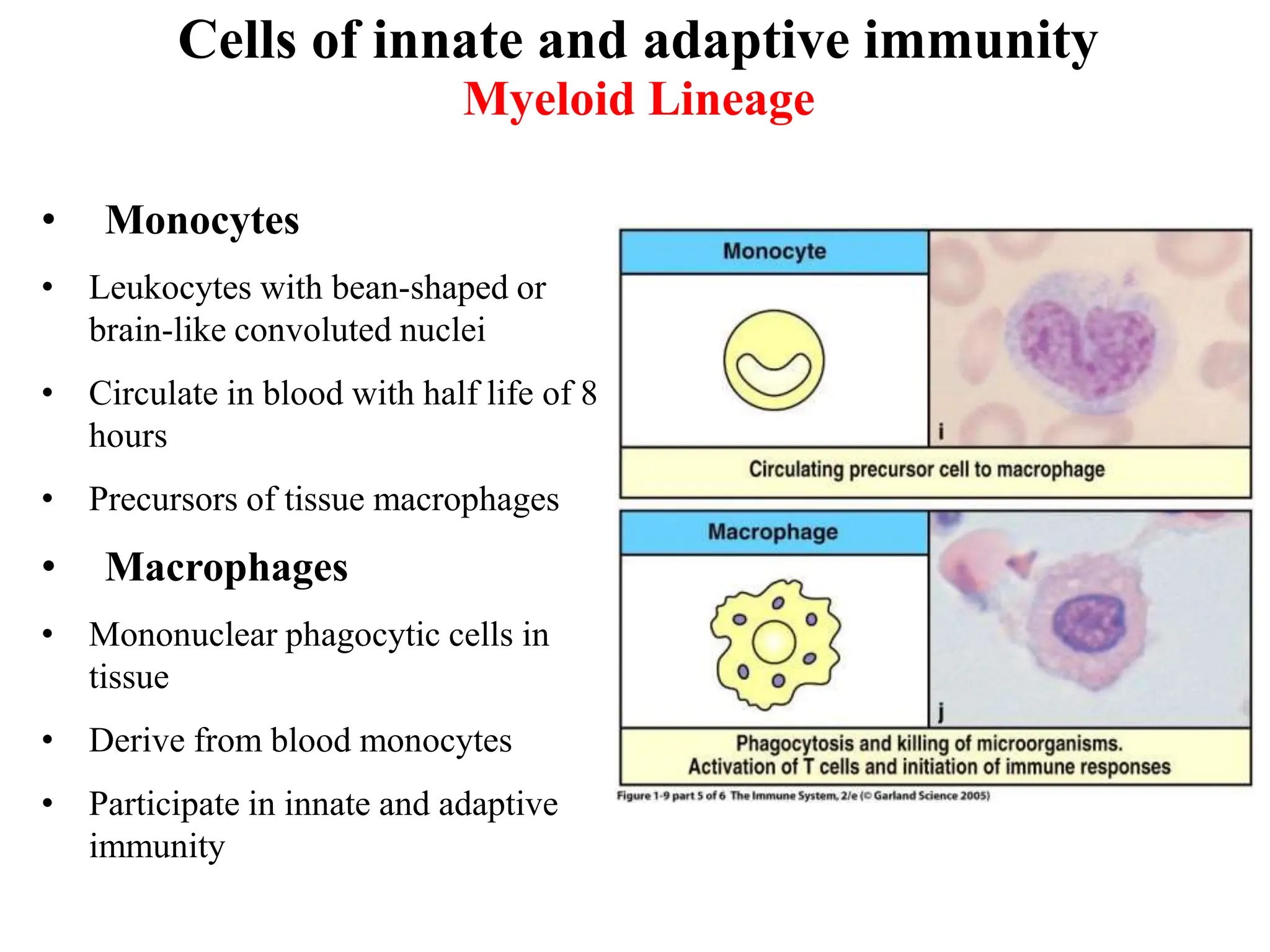 Immunopharmacology & immunology Unit-1 (PC-660) | PPT