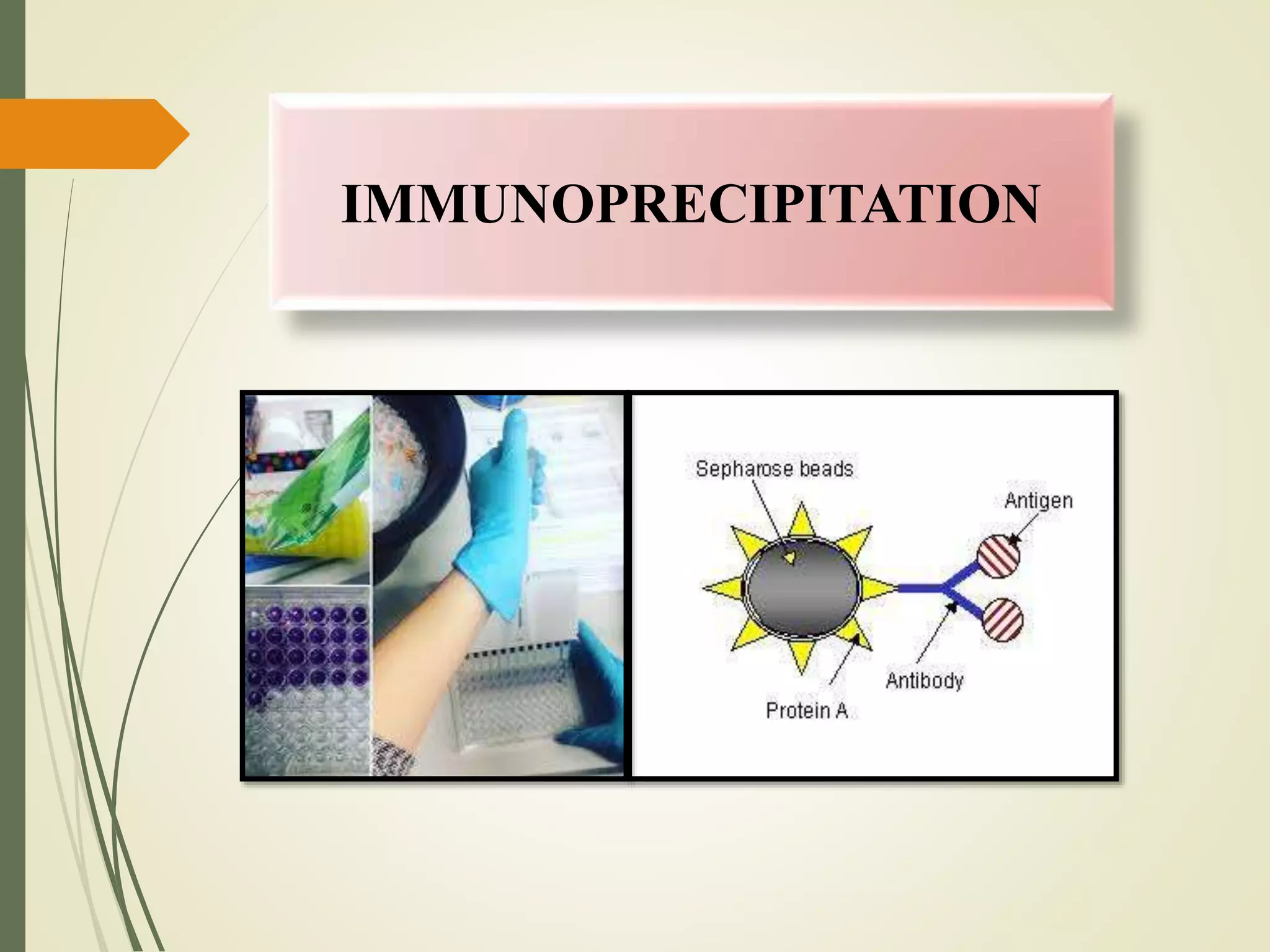 IMMUNOTECHNIQUES (immunoprecipitation) | PPTX
