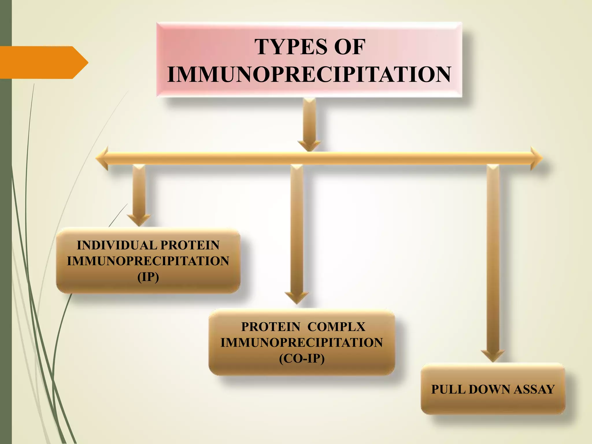 IMMUNOTECHNIQUES (immunoprecipitation) | PPTX