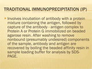 Immunoprecipitation | PPT