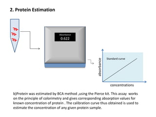 Immunoprecipitation | PPTX | Chemistry | Science